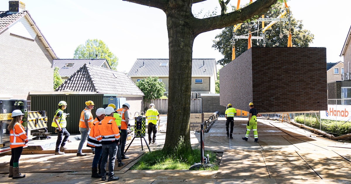 Enorme kraan tilt ‘vierbaans snelweg voor stroom’ in Wierdense wijk ...