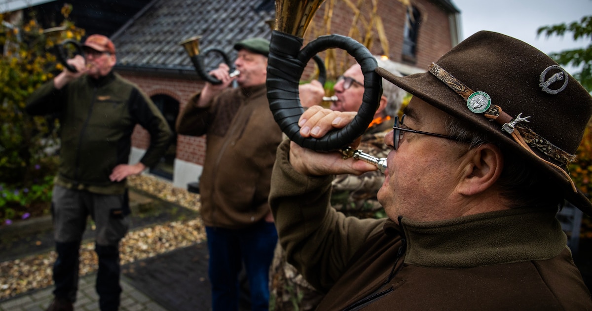 Op ’t Opbroek schallen ze nog ouderwets, de jachthoorns, als een ode ...