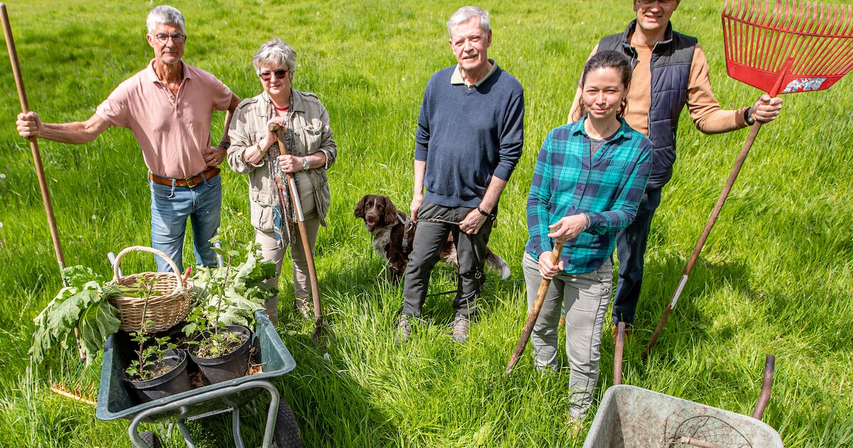200 huishoudens, één gezamenlijke boerderij: ‘Oale Groond’ begint het liefst vandaag nog ...