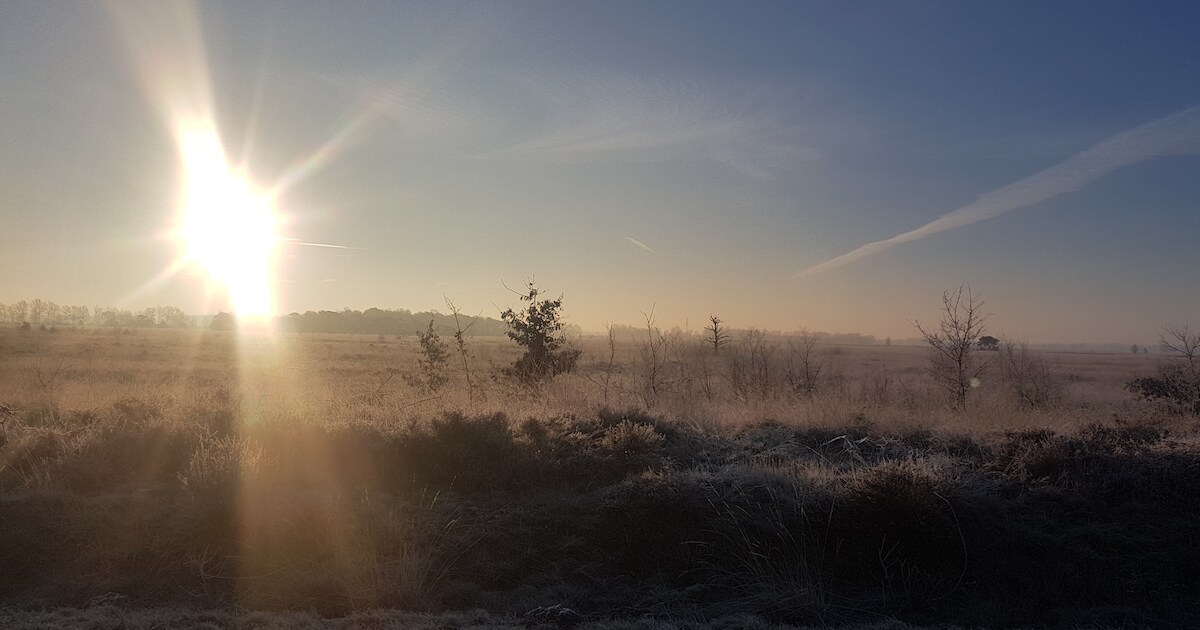 Natuurmaatregelen Wierdense Veld blijven overeind, opgedoken ...