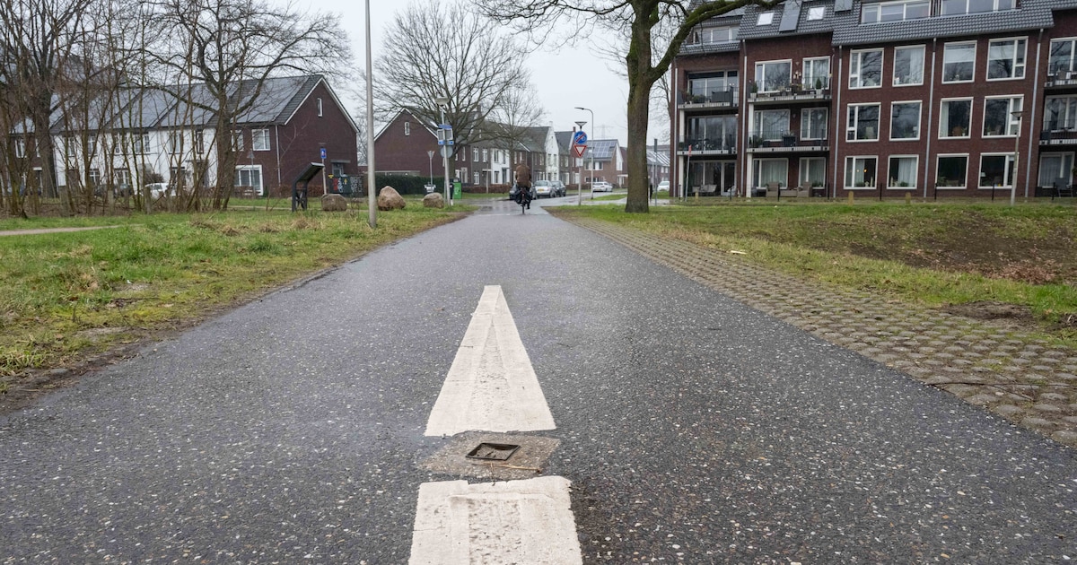 Weghalen van linke paaltjes op het fietspad in Enschede: ‘Nu rijden ...