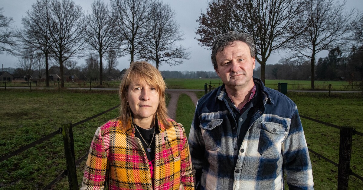 Buren Vordens landgoed vrezen ‘groene muur’ voor hun neus: ‘Ons ...
