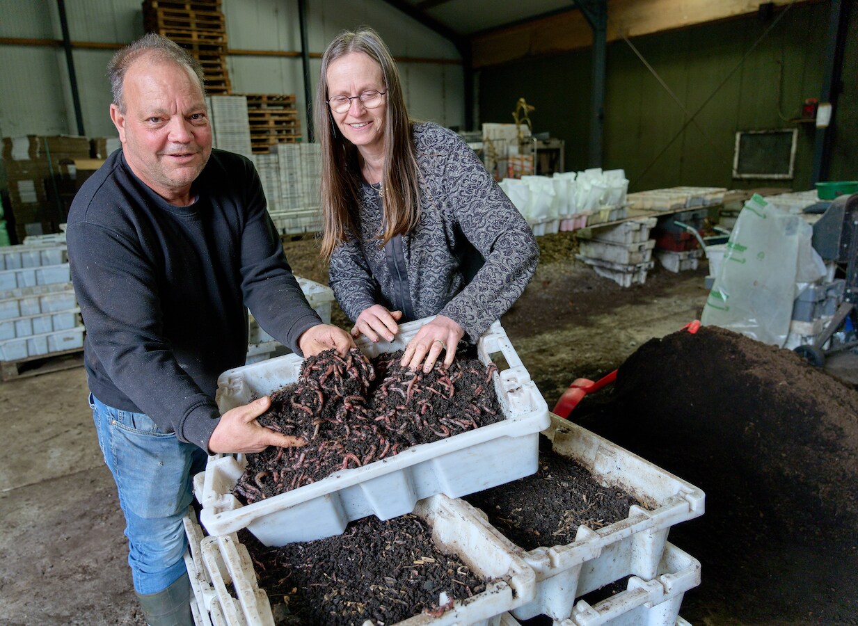 Miljoenen wormen redden boerderij van René uit Lattrop: ‘Geluk komt ...