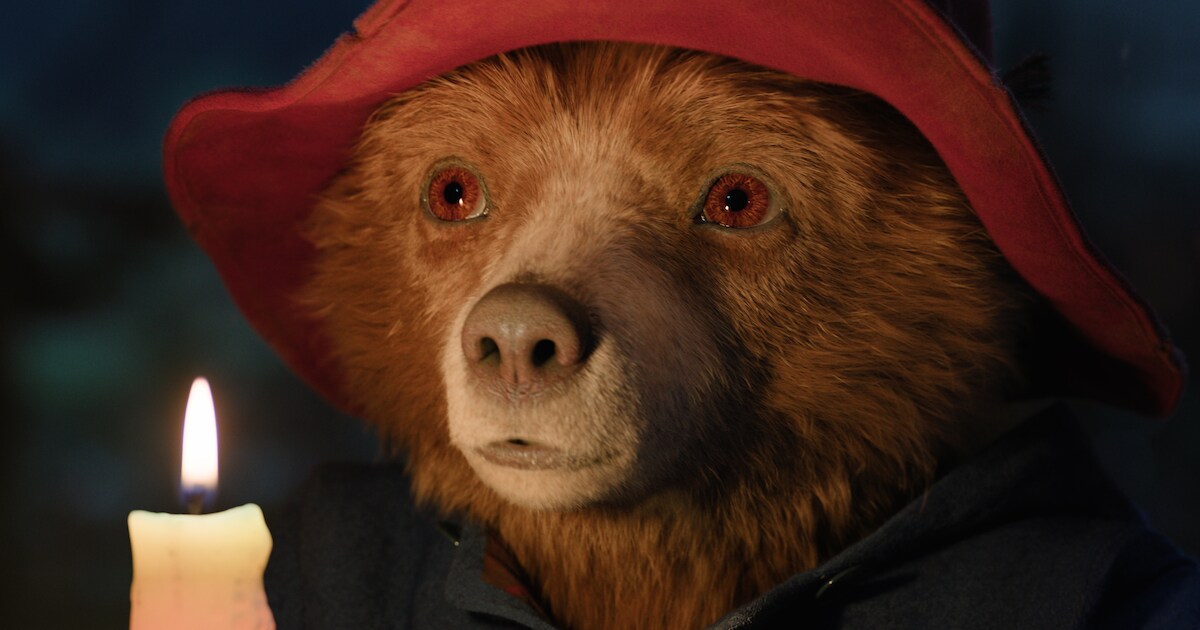 De magie van Paddington? ‘Het beertje heeft iets dat wij als ...