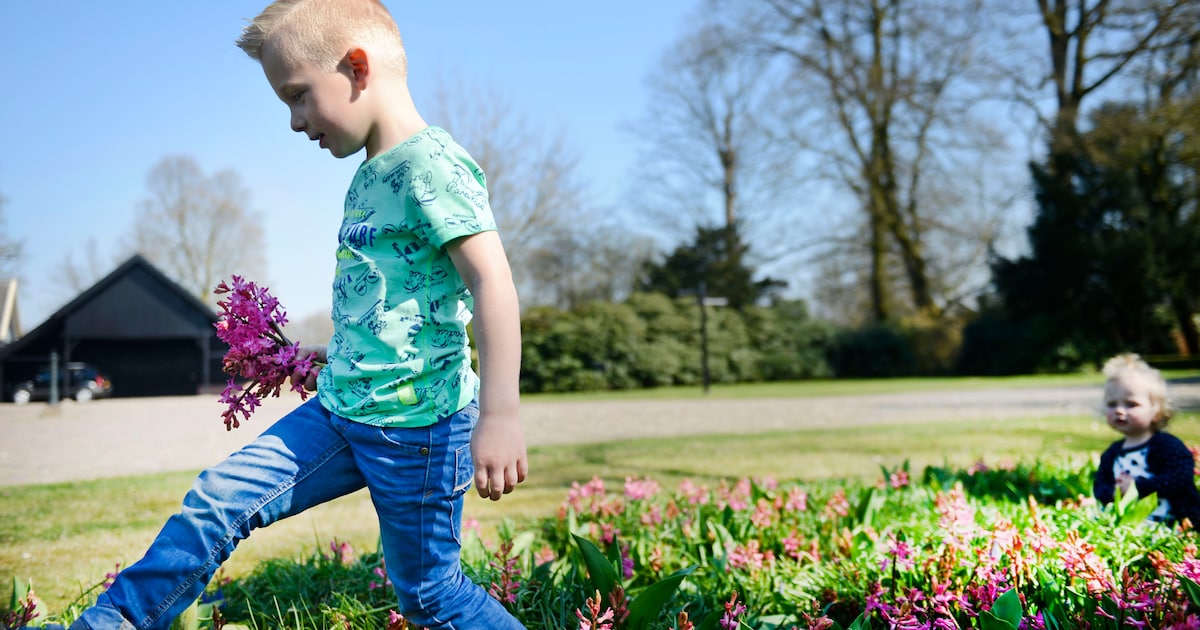 Feiten en fabels over de lente in Twente | Home | Tubantia.nl
