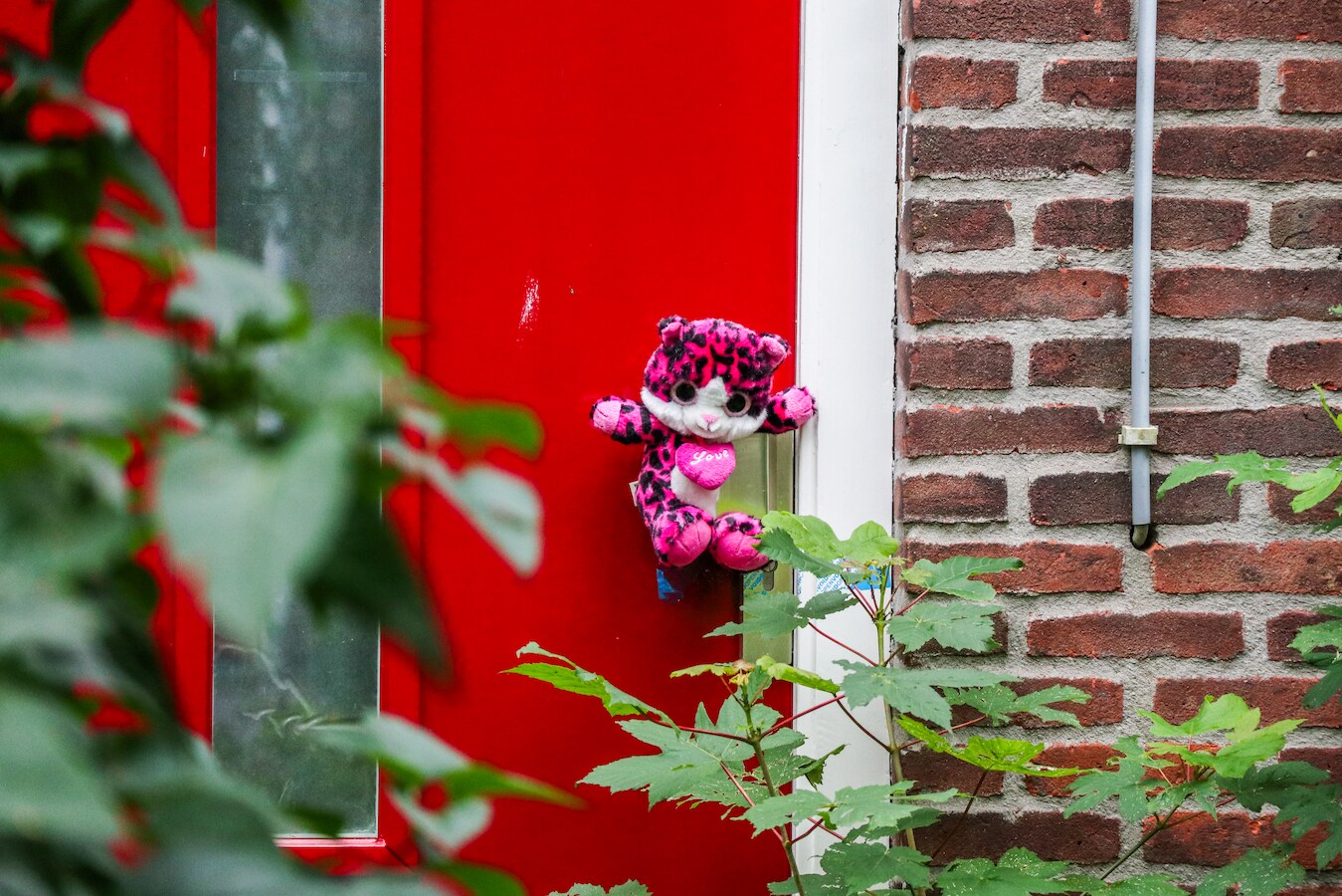 Zaak van Vlaardings pleegmeisje heeft ook positief effect: flink meer ouders hebben interesse in ...