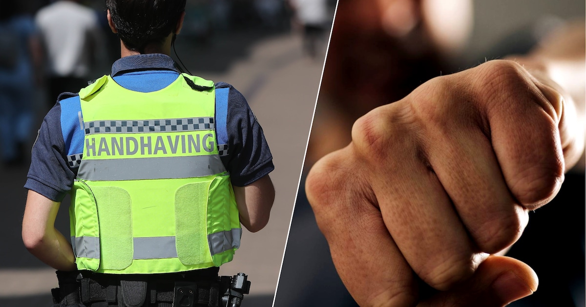 Twee Oldenzalers aangehouden na ernstige mishandeling in centrum ...