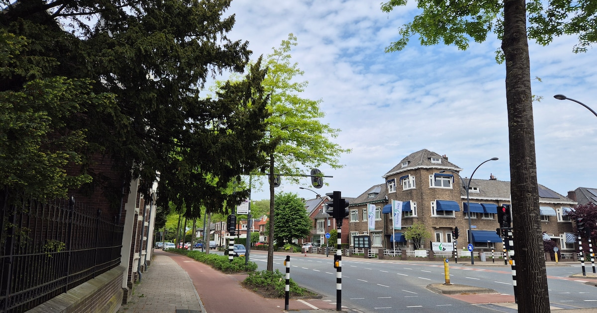 Centrum Hengelo steeds drukker: dat merken ze aan de Bornsestraat ...