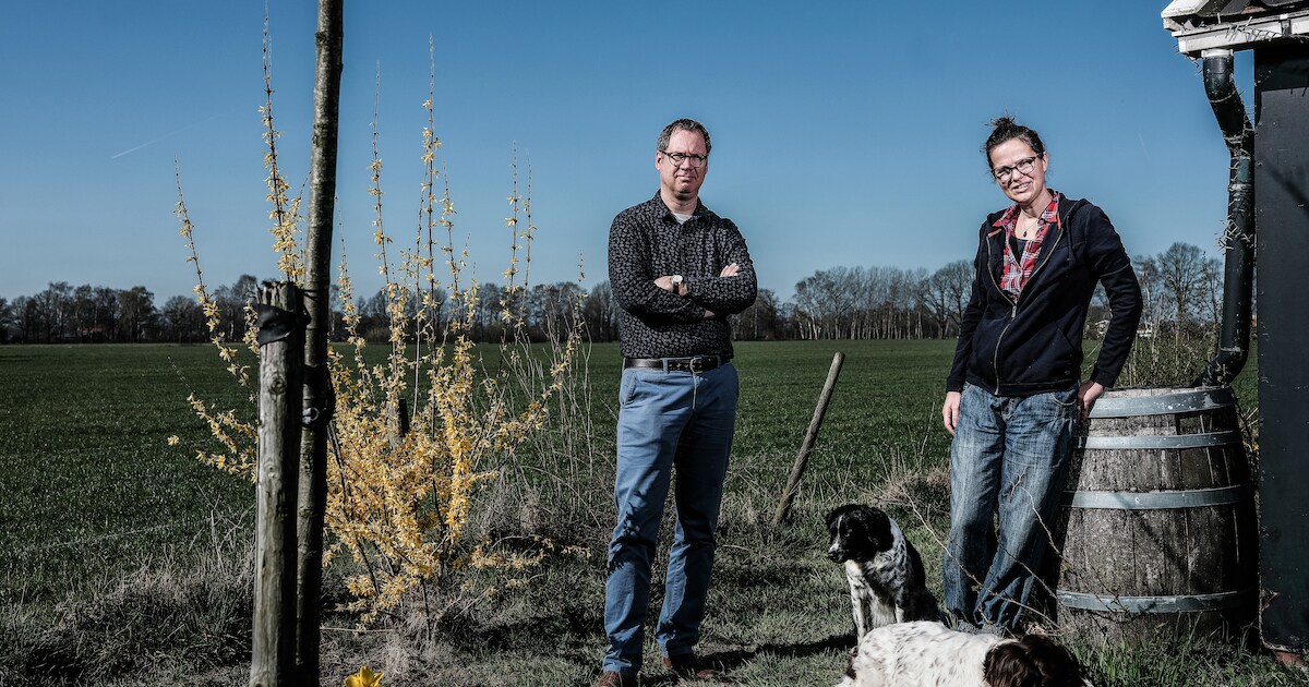 De Noordtak: ramp of ‘must have’? Goederenspoorlijn verdeelt de regio ...