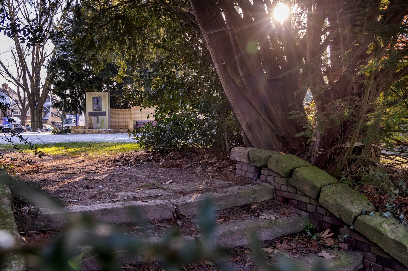 Vandalisme, drugsgedoe en nu ook ernstige mishandeling: teloorgang van ...