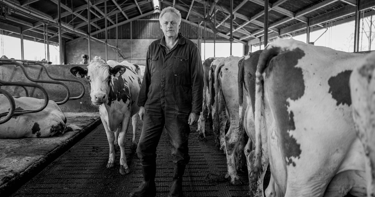 Boer Bennie Stevelink (63), bekend van prikkelende agrarische columns ...