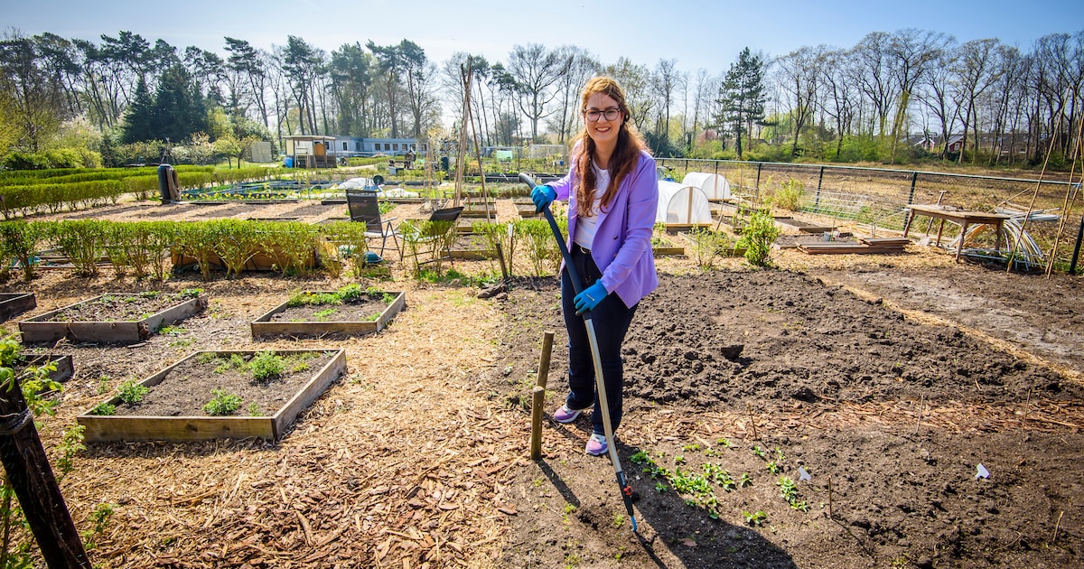 Waarom je aan een eigen moestuintje moet beginnen? Het scheelt je ...