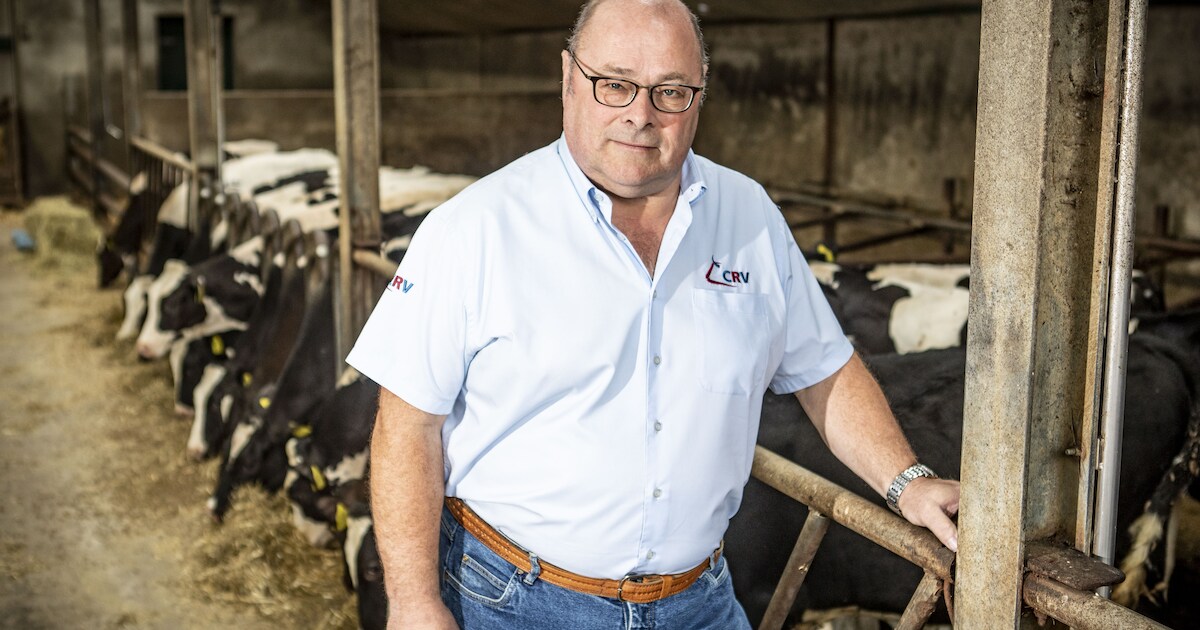 Kalver Opfok Club Twente laat al dertig jaar zien hoe diervriendelijk ...