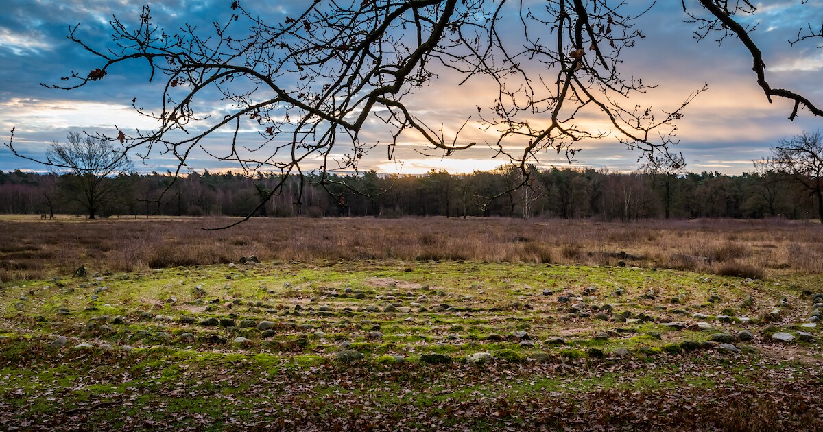 Het verhaal achter het labyrint op de Borkeld: het lijkt eeuwenoud en ...