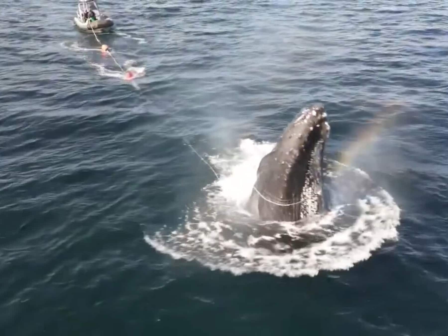 KliniekTwente, ziekenhuis zonder bedden, breidt flink uit | Oldenzaal ...