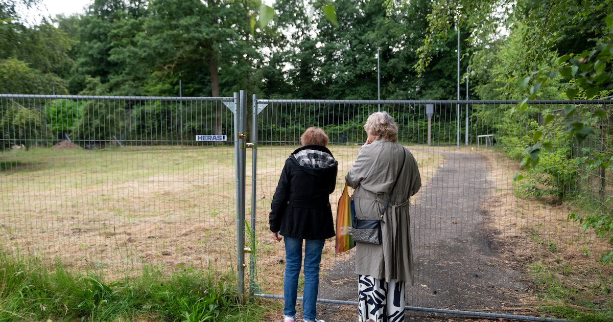 Ruiming begraafplaats achter Huize Alexandra: ‘Geen sprake van ...