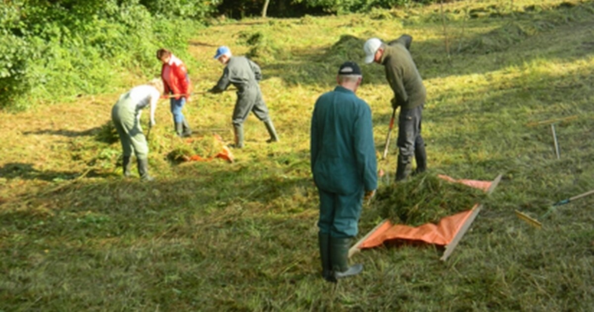 Bijzonder brongebied even opengesteld tijdens natuurwerkochtend op ...