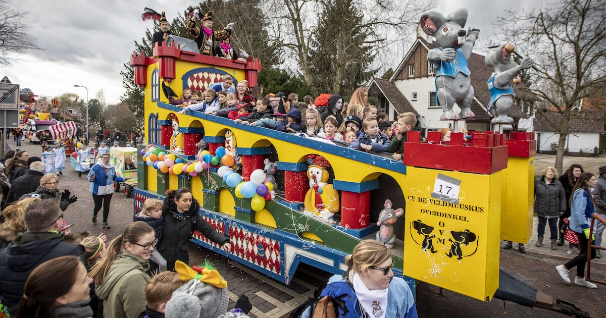 Geen hoogheden dit jaar tijdens carnaval in de gemeente Losser ...