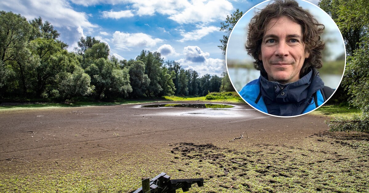 Noodkreet van Wereld Natuur Fonds over natuur langs IJssel: ‘Erger dan ...