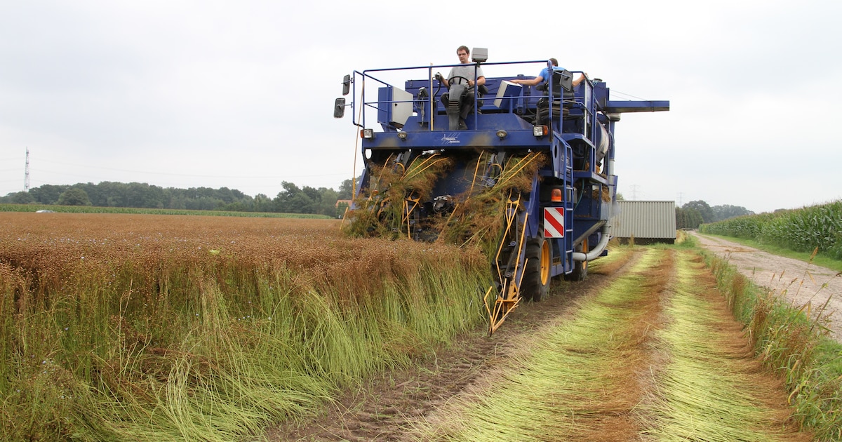 Iedereen dingt mee naar Enschedese pachtgrond: huidige gebruiker kan perceel kwijtraken ...