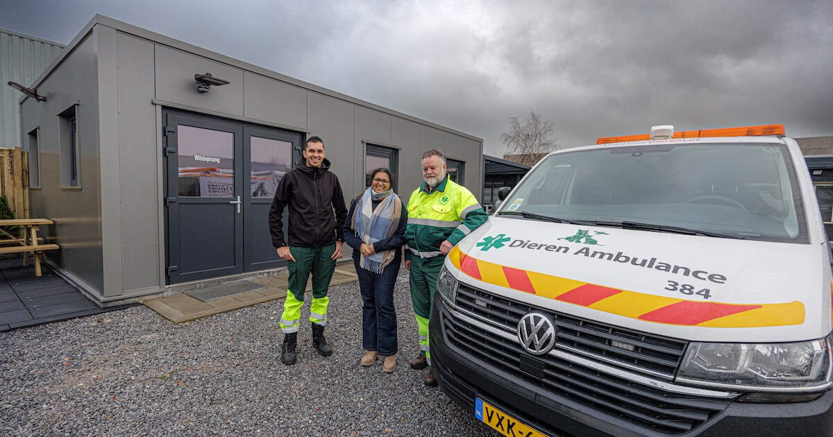 Dierenambulance Zwolle blij met nieuwe wildopvang: ‘Het gebouw was op ...