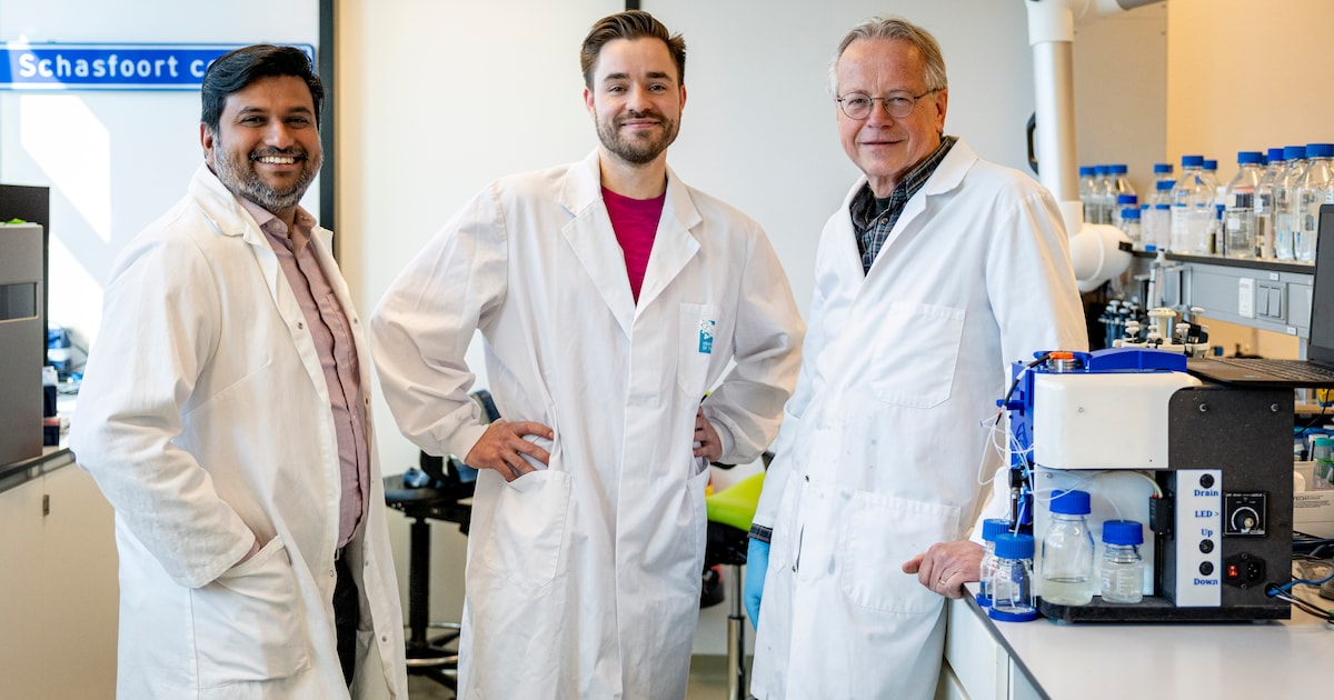 Ziekte van Lyme kan gezondheid slopen: Twentse bedrijven komen met test ...