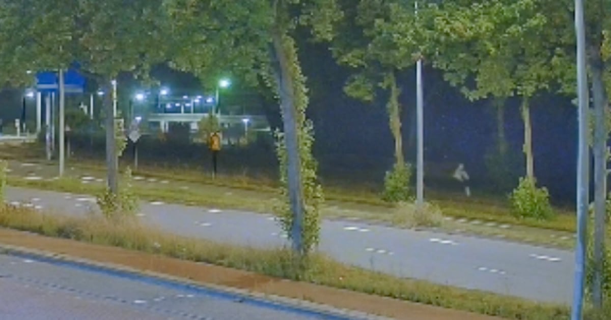 Verdachte (22) van moord op Lisa en zedendelicten vermoedelijk afkomstig uit Nigeria ...