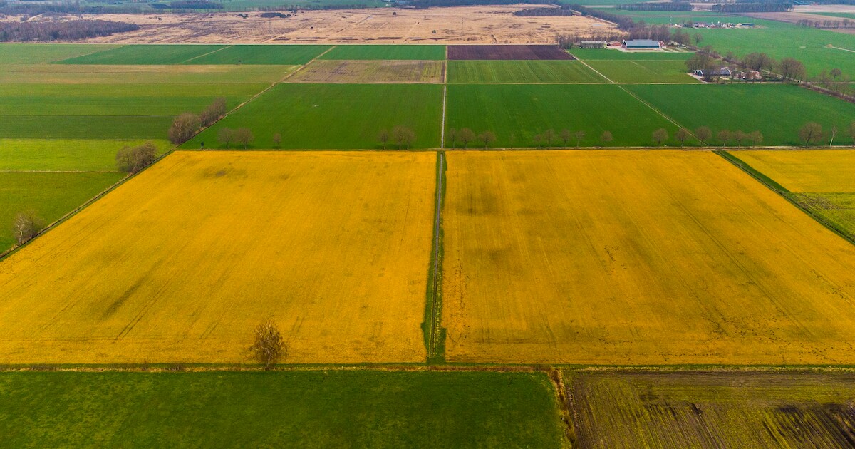Geen meerderheid in EU voor verbod op onkruidverdelger glyfosaat | Politiek | tubantia.nl