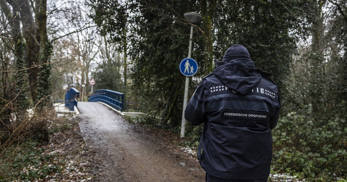 Derde jongen ontkwam aan dodelijke schietpartij op tieners in Amsterdam ...