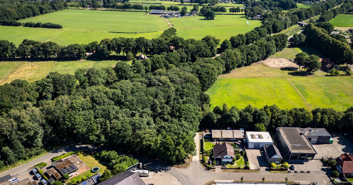 Steun voor ondernemer die nieuwe hal wil bouwen in Denekamp (en ...
