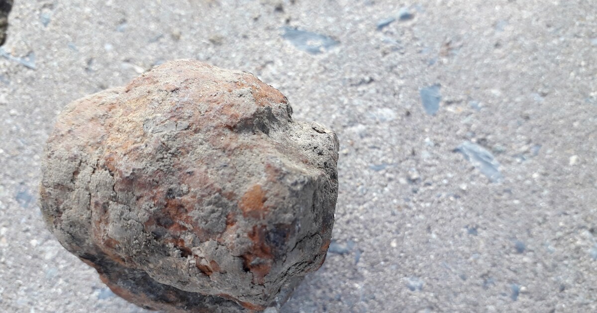 Joanneke vindt iets vreemds tussen de aardappelen: ‘Mijn vader wist ...