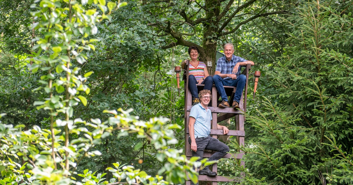 In Hoge Hexel vind je een bos vol eten: ‘We kweken wel 150 ...