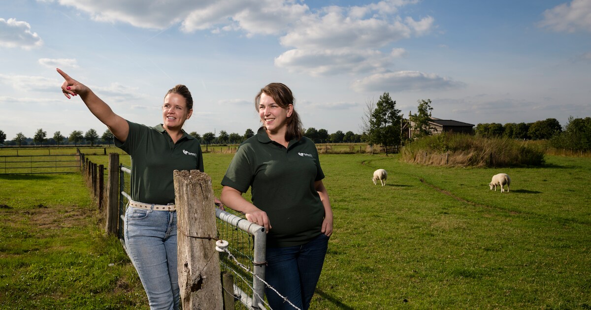 Metamorfose Het Overveen tot groene hub met ‘huiskamer voor Rijssen ...