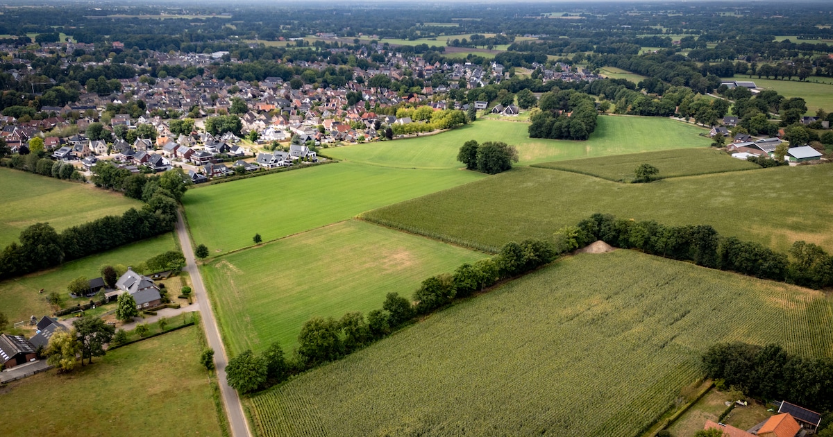 Tubbergen krijgt compleet nieuwe woonwijk met 123 huizen | Tubbergen ...