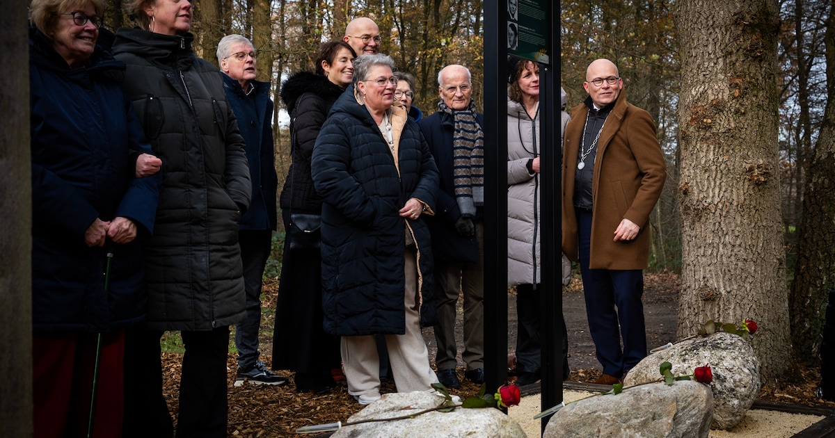Drie keien, drie levens: Tubbergen herdenkt tragisch ongeval ...