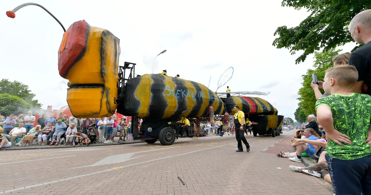 ‘Ik en de Rest’ beste in Goorse optocht | Hof van Twente | Tubantia.nl