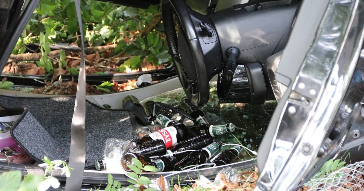 Auto crasht zwaar in Hoenderloo en belandt in weiland met geiten | Apeldoorn | tubantia.nl