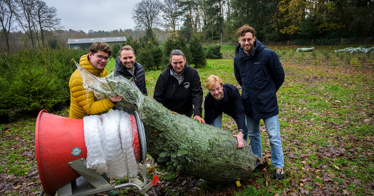 Koop een kerstboom en sponsor daarmee een kerstmaal van gezin dat het ...