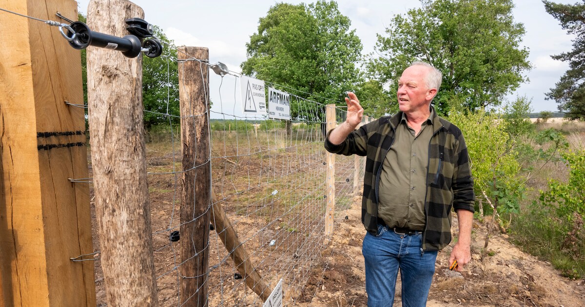Herman ziet door nachtkijker een wolf bij zijn geiten, dan is hij om ...