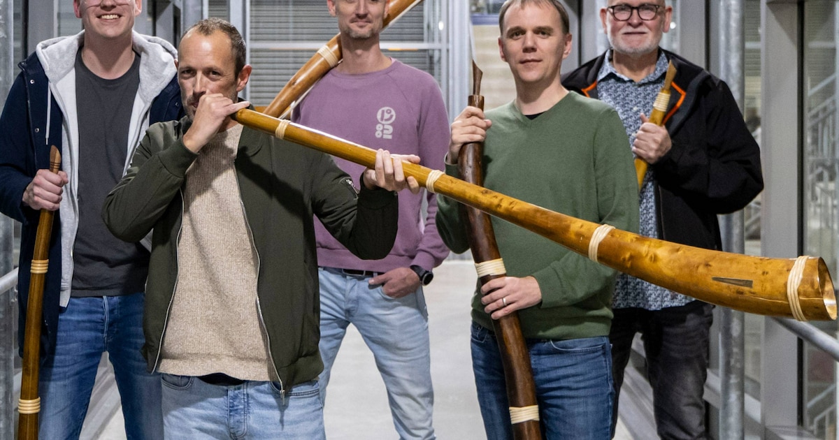 ‘Ik klonk als een olifant’: verslaggever Ferry waagt zich aan de ...