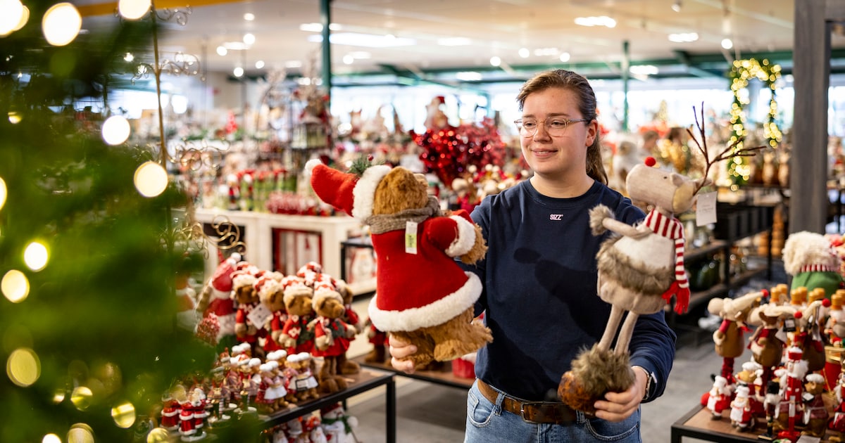 Bij dit Twentse tuincentrum is de kerstgekte al losgebarsten | Regio ...