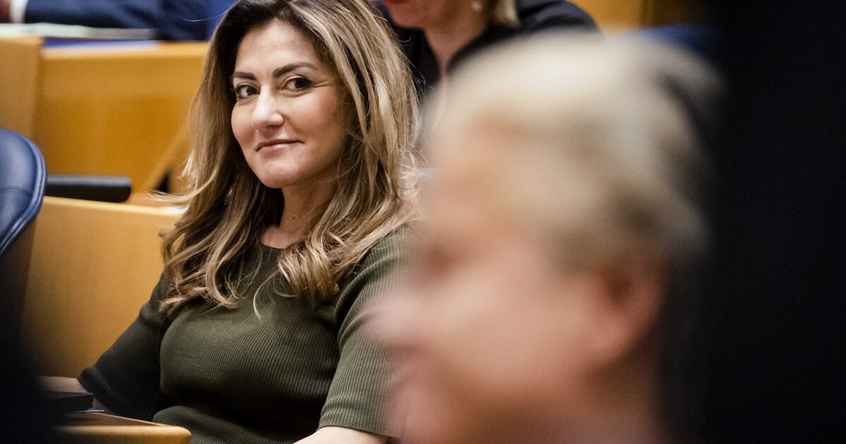 Een extraparlementair kabinet, wat is dat nou weer? | Politiek | tubantia.nl