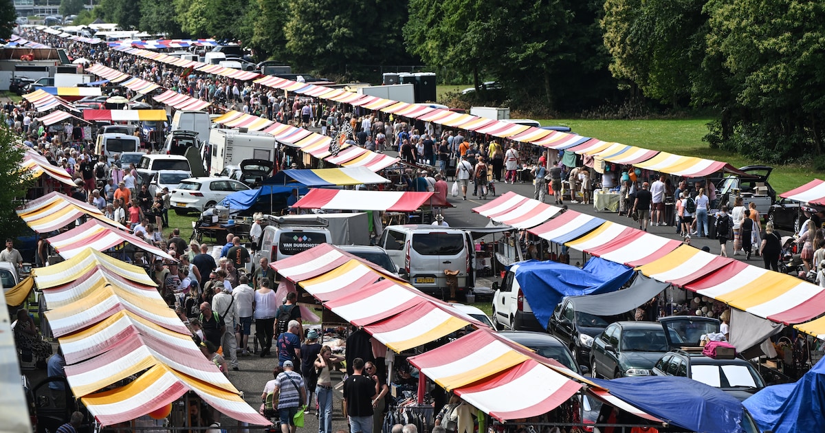 Komend weekend drie kilometer lange vlooienmarkt bij Vliegveld Twente ...