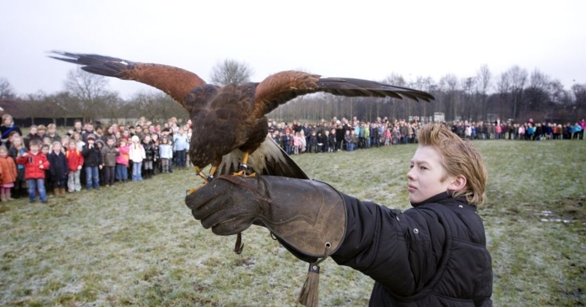 Leerlingen van basisschool De Weier zien ze vliegen | Almelo | Tubantia.nl