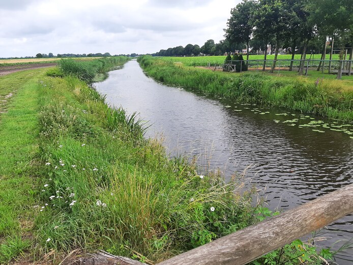 Dode man in Westerhaar niet door misdrijf om het leven gekomen ...
