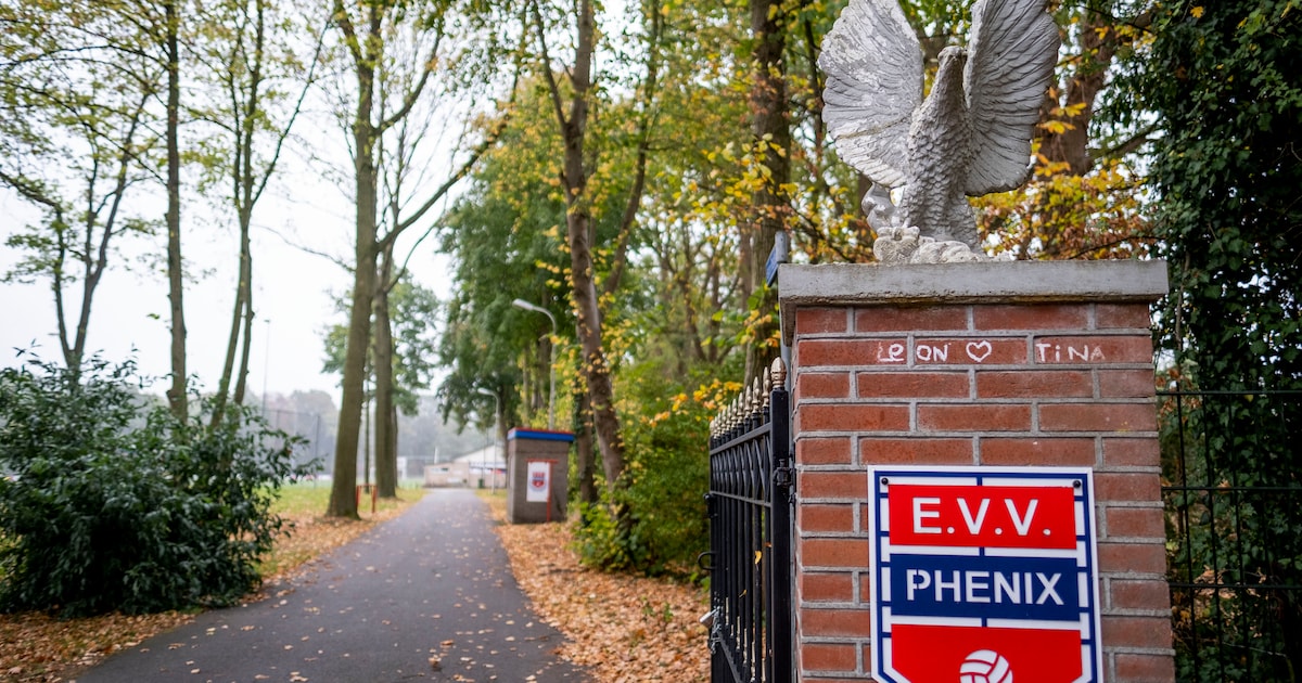 Woningbouw op sportcomplex Phenix: vooral 55-plussers profiteren ...