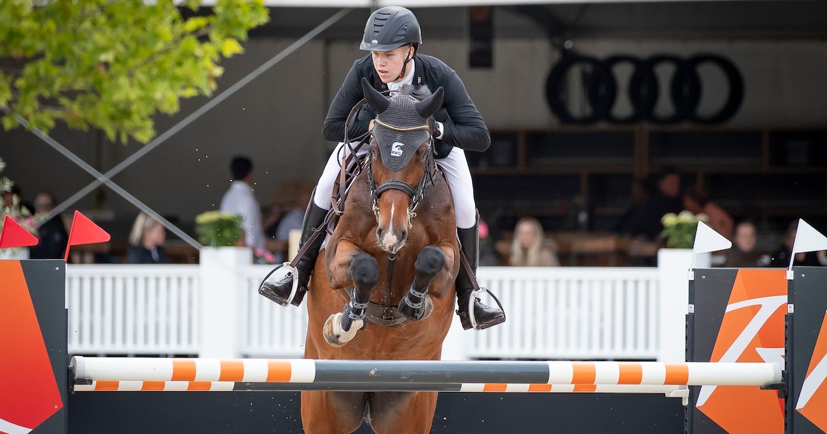 Springruiter Lars Schröder (19) keert terug naar de stal van zijn vader ...