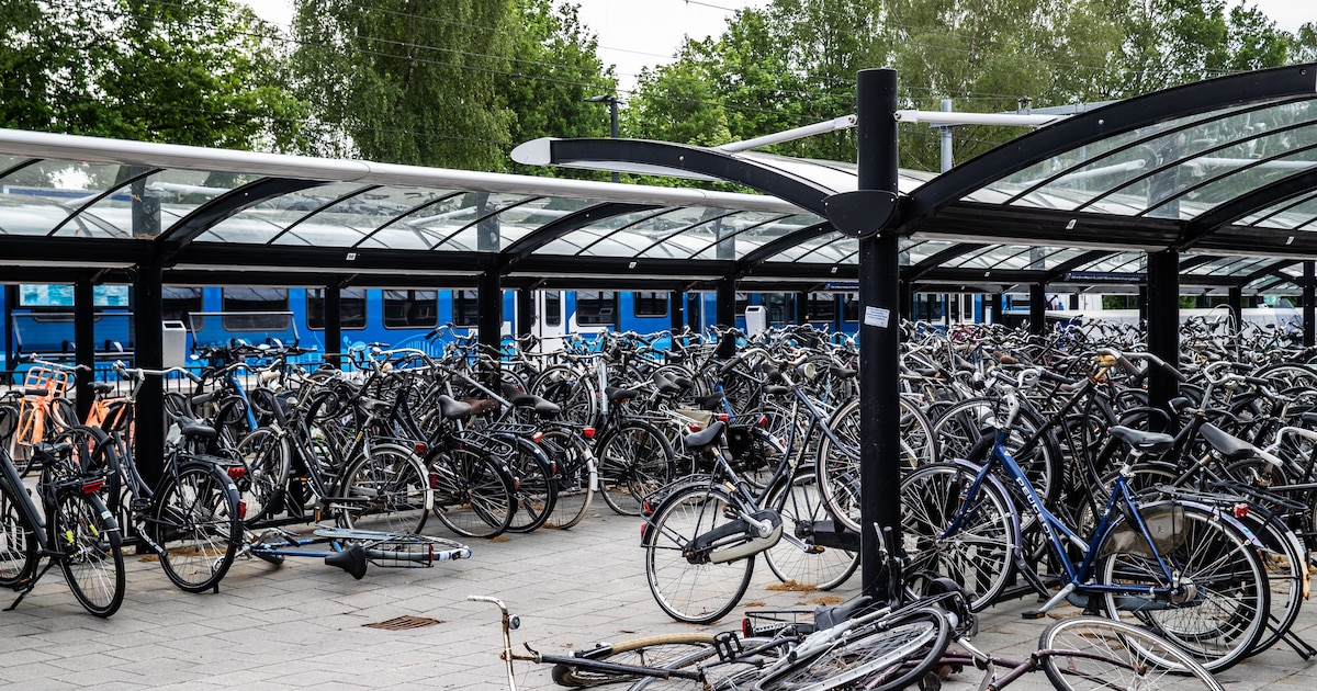 Stations Raalte en Heino op de schop: tunnel, zijperrons en meer ...