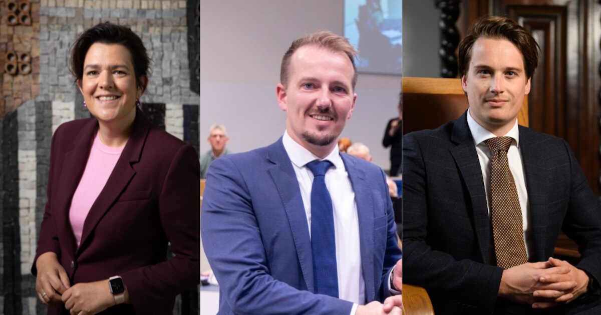 Drie Twentse Kamerleden blijven over: Hanneke Steen, Sebastiaan Stöteler en Hidde Heutink ...