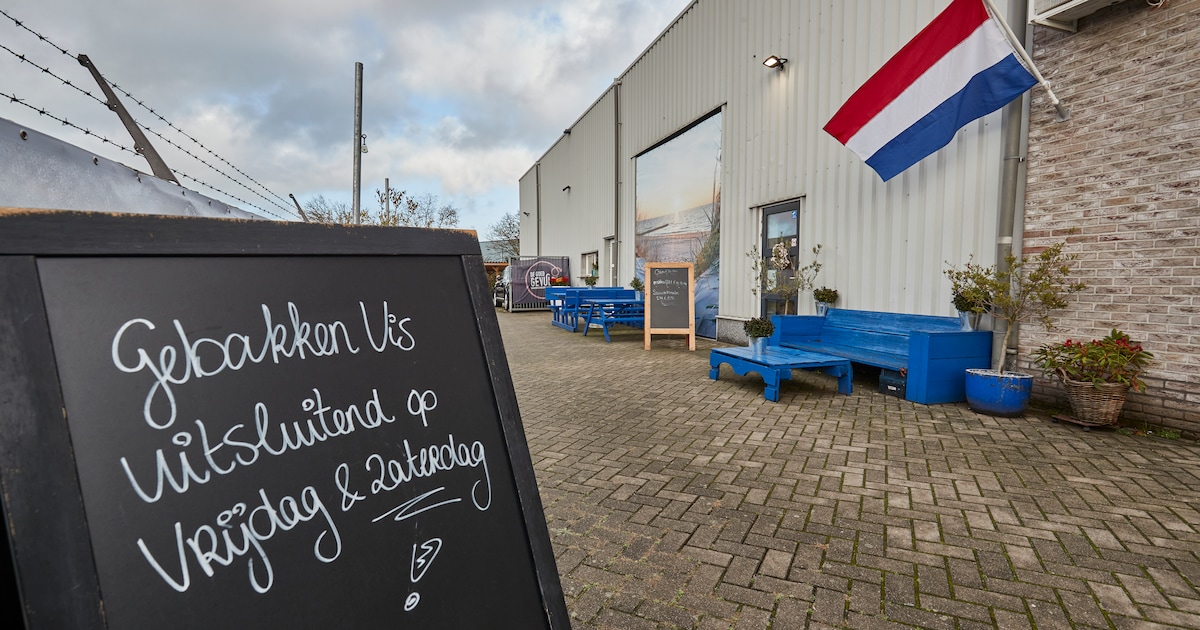 Terrassoap naast viswinkel in Zutphen duurt voort: ‘De rechter heeft ...